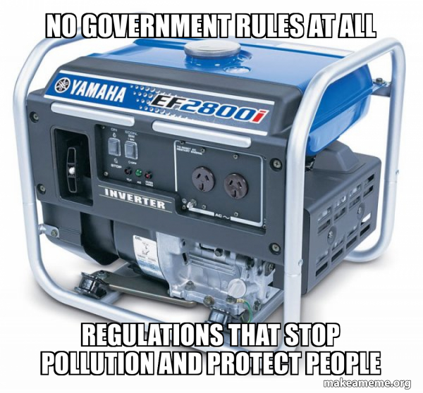 No government rules at all Regulations that stop pollution and protect ...