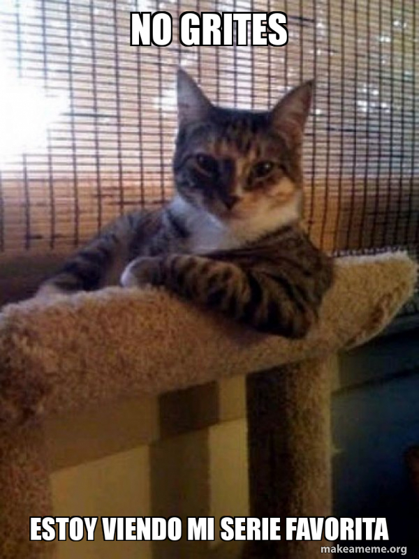 no grites estoy viendo mi serie favorita - The Most Interesting Cat in ...