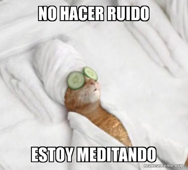 No hacer ruido Estoy meditando - Pampered Cat Meme Meme Generator