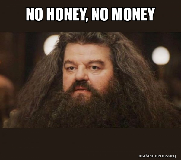 No Honey, No Money - Hagrid - I should not have said that Meme Generator