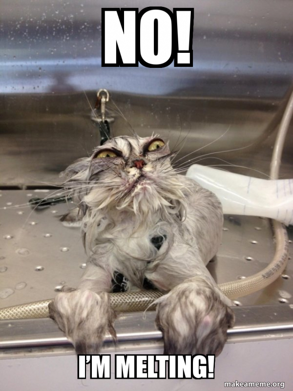 NO! Iâ€™m melting! - Cat Bath Returns Meme Generator