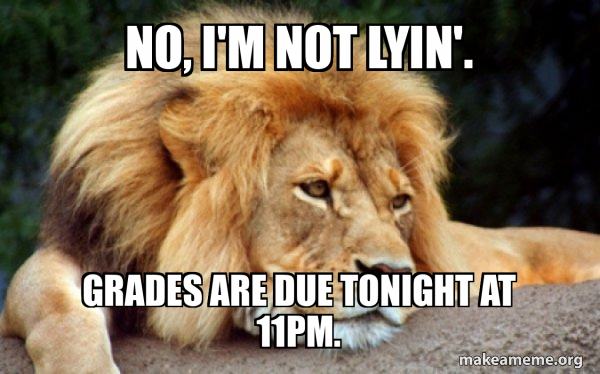 No, I'm not lyin'. Grades are due tonight at 11pm. - Confession Lion ...