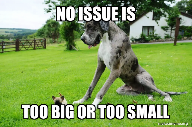 No issue is too big or too small Meme Generator