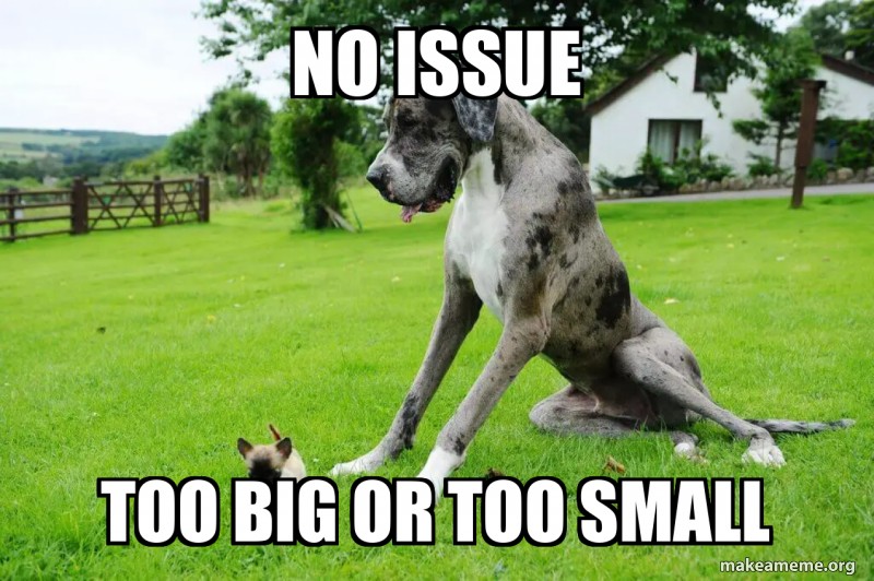 No issue too big or too small Meme Generator