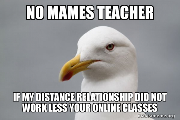 no mames teacher if my distance relationship did not work less your ...