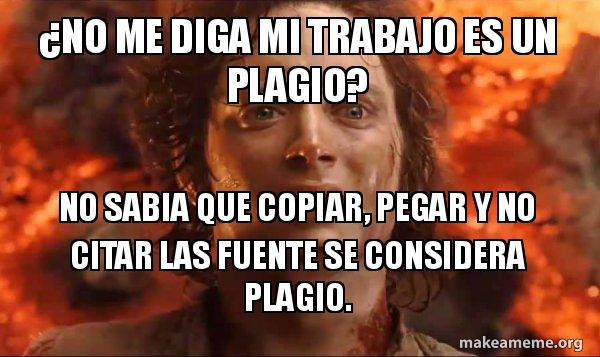 Â¿no me diga mi trabajo es un plagio? no sabia que copiar, pegar y no ...