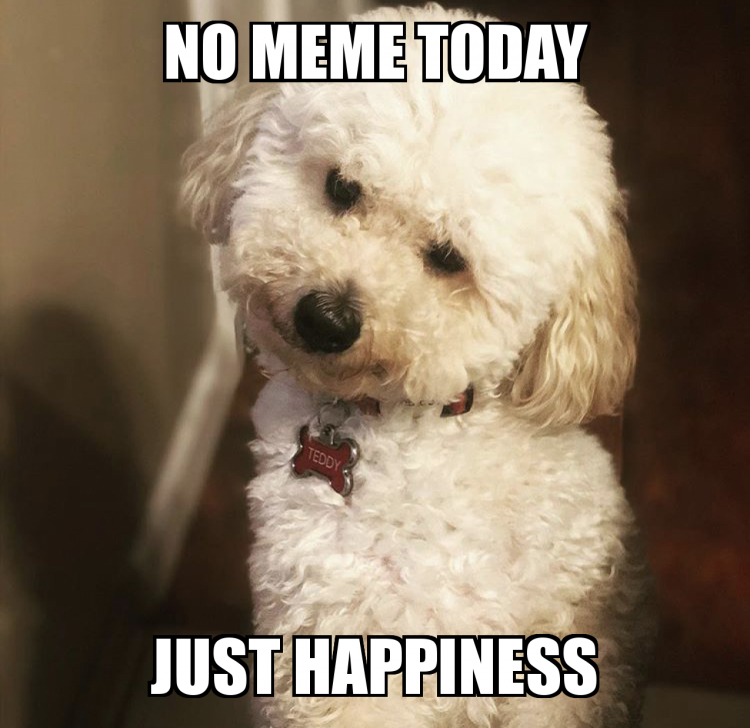 No meme today Just happiness Meme Generator