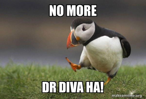 No more Dr diva ha! - Unpopular Opinion Puffin Meme Generator