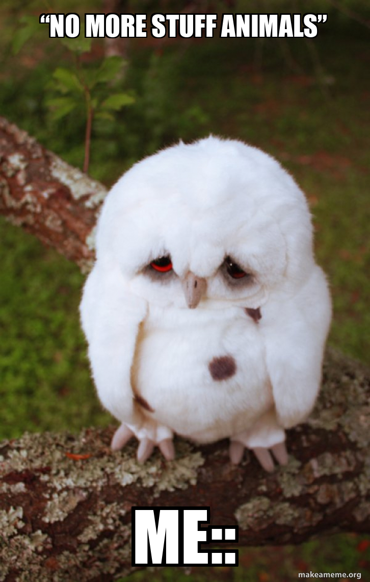 “No more stuff animals” Me:: - Sad Owl Meme Generator