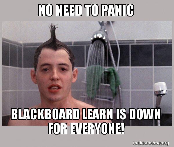 No need to panic Blackboard Learn is down for everyone! - Shower ...