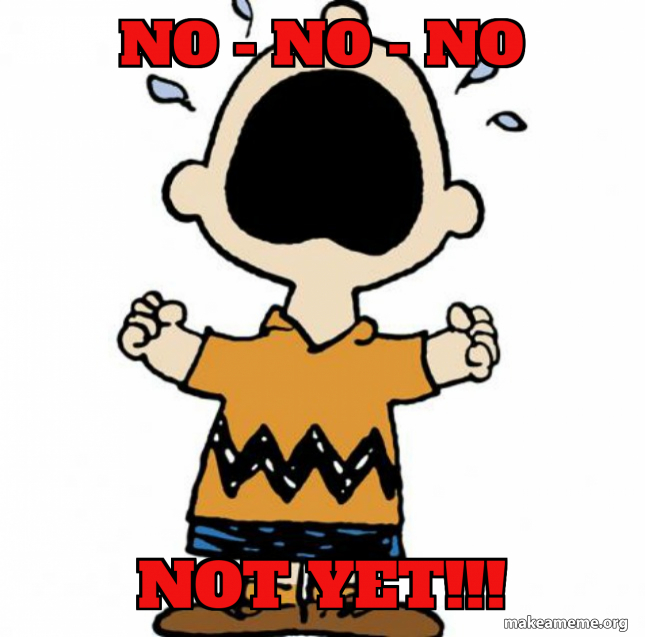 no - no - no not yet!!! Meme Generator