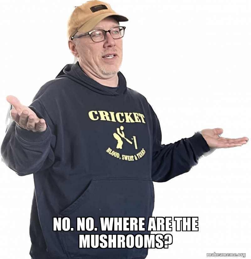 No. no. Where are the Mushrooms? Meme Generator