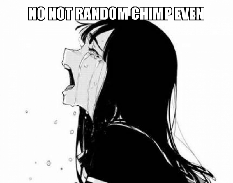 No Not Random chimp even Meme Generator