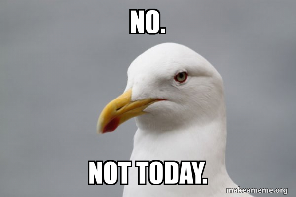 No. Not today. - Stuff That Didn't Happen Seagull Meme Generator