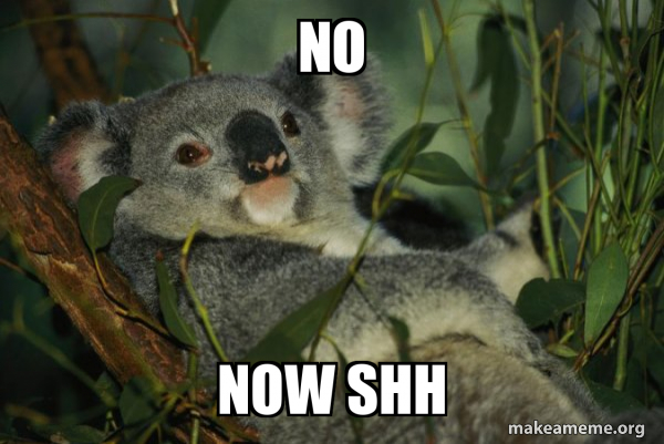 no now shh - Laid Back Koala Meme Generator