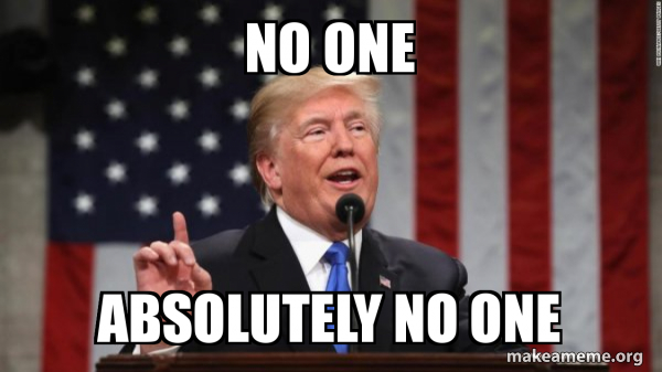 No one Absolutely no one - Donald Trump Meme Generator
