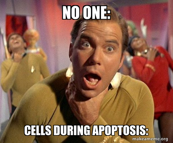 No one: Cells during apoptosis: - Captain Kirk Choking Meme Generator