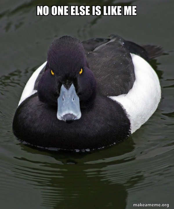 no one else is like me - Revenge Duck ( Angry Advice Duck ) Meme Generator