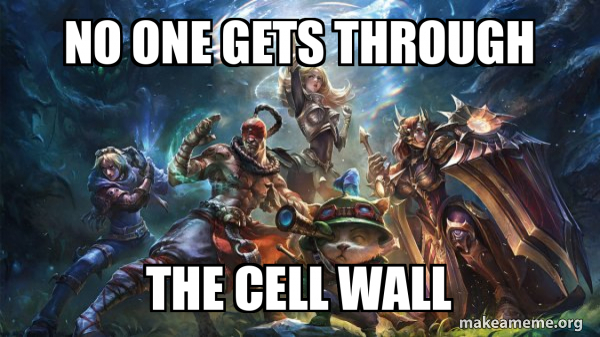 no one gets through the cell wall - LOL League of Legends Meme Generator