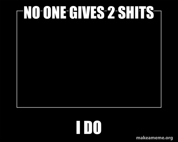 NO ONE GIVES 2 SHITS I DO - Motivational Meme Meme Generator
