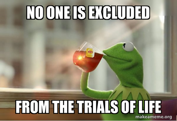No one is excluded From the trials of life - Kermit Drinking Tea Meme ...