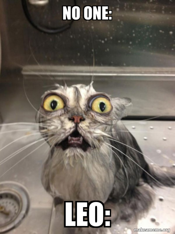 No one: Leo: - Cat bath Meme Generator