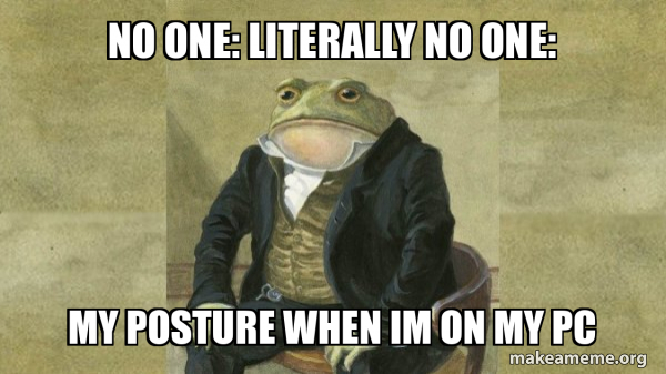 No one: Literally no one: My posture when im on my pc - Colonel Toad ...