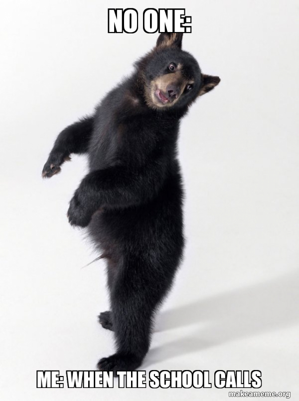 No one: Me: when the school calls - Super Bear'd Meme Generator
