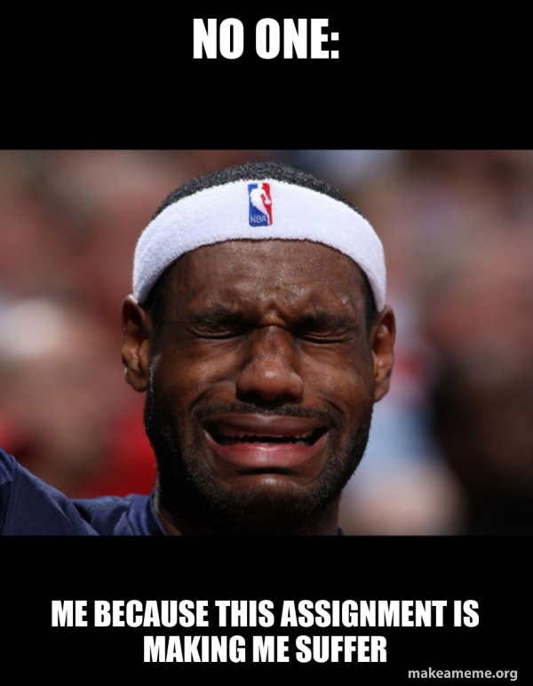 no one: me because this assignment is making me suffer - Lebron Crying ...