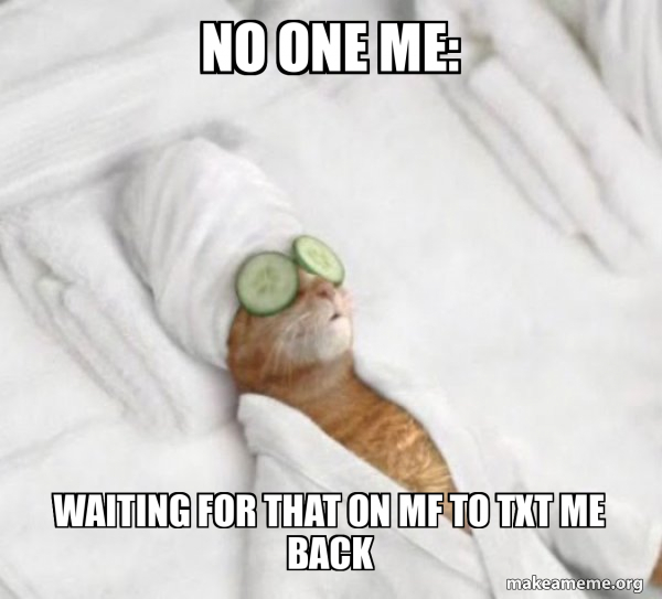 no one me: waiting for that on mf to txt me back - Pampered Cat Meme ...