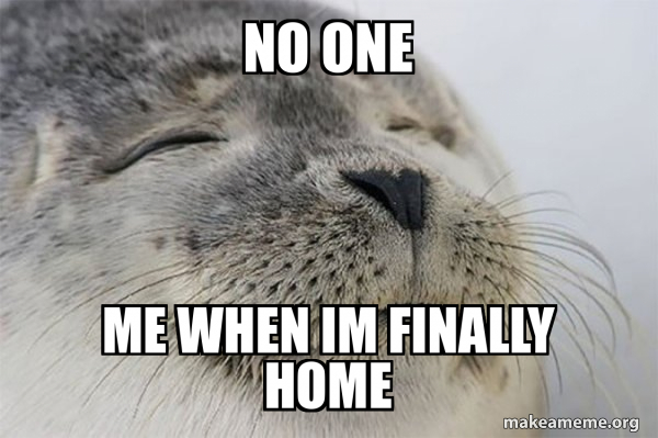 no one me when im finally home - Satisfied Seal Meme Generator