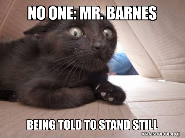 No one: Mr. Barnes being told to stand still - Schitzo Cat Meme Generator