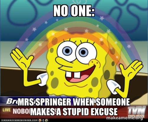 no one: mrs springer when someone makes a stupid excuse Meme Generator