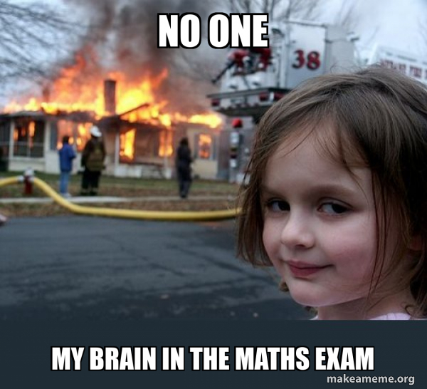 No one My brain in the maths exam - Disaster Girl Meme Generator