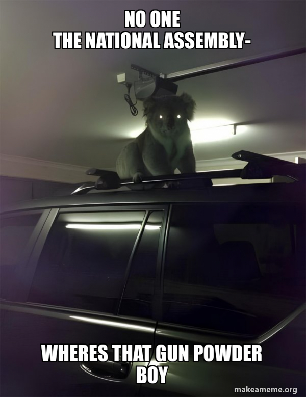 No one The national ASSEMBLY- Wheres that gun powder boy - Drop Bear ...