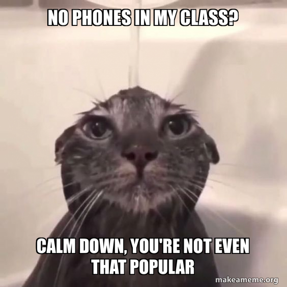 No Phones In My Class Calm Down Youre Not Even That Popular Meme Generator