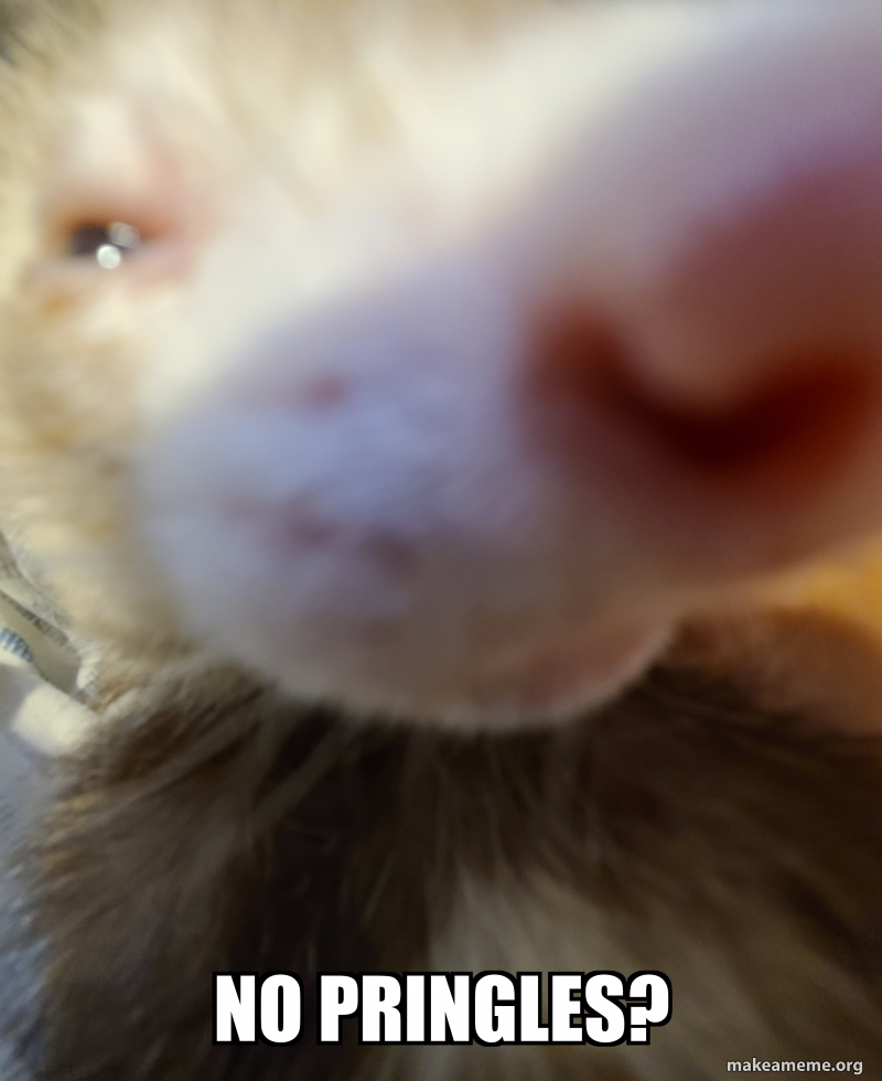 No PRingles? Meme Generator