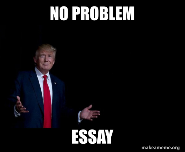 No Problem Essay - Trump Everything is FIne Meme Generator