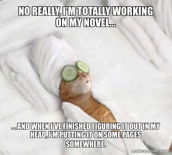NO REALLY, I'M TOTALLY WORKING ON MY NOVEL... ... AND WHEN I'VE ...