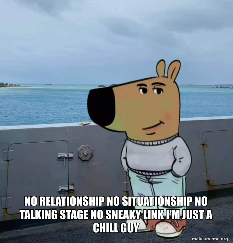 No relationship no situationship no talking stage no sneaky link I'm ...