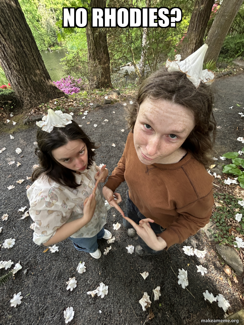 No Rhodies? Meme Generator