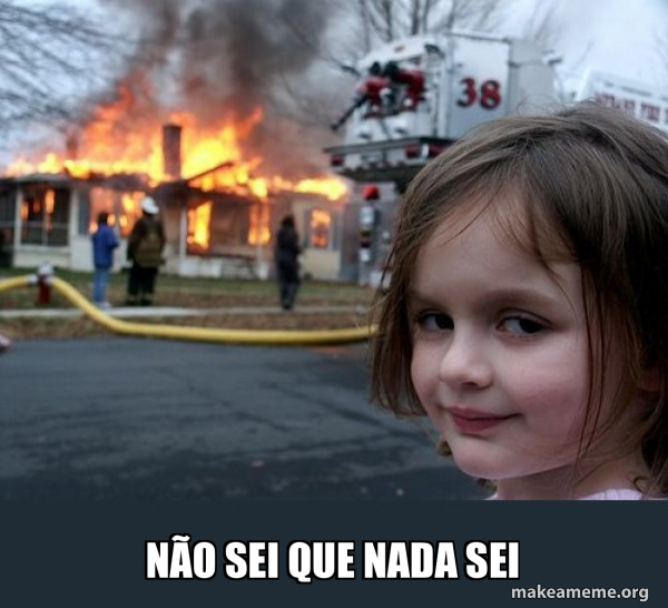 Não sei que nada sei - Disaster Girl Meme Generator