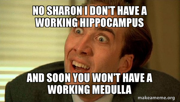 No Sharon i don't have a working hippocampus and soon you won't have a ...