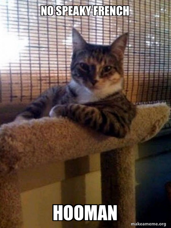No speaky french Hooman - The Most Interesting Cat in the World Meme ...