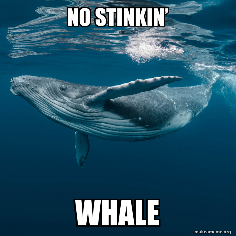 No Stinkin’ Whale Meme Generator