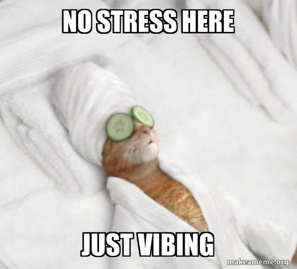 no Stress HERE just vibing - Pampered Cat Meme Meme Generator