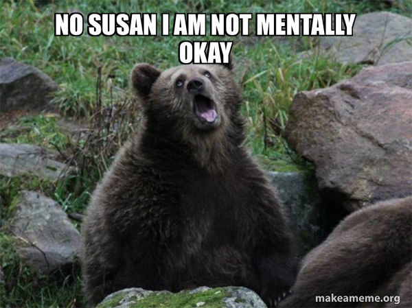 no Susan I am not mentally okay - Sarcastic Bear Meme Generator