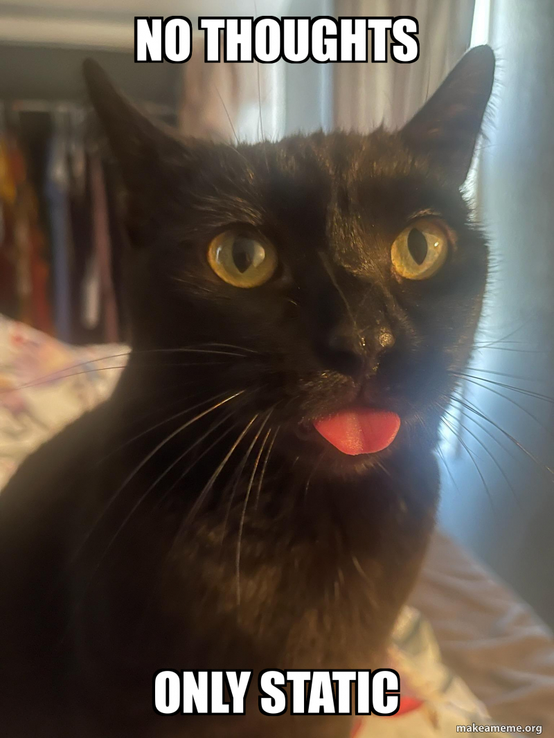 No thoughts Only static Meme Generator