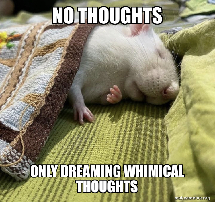 no thoughts only dreaming whimical thoughts Meme Generator