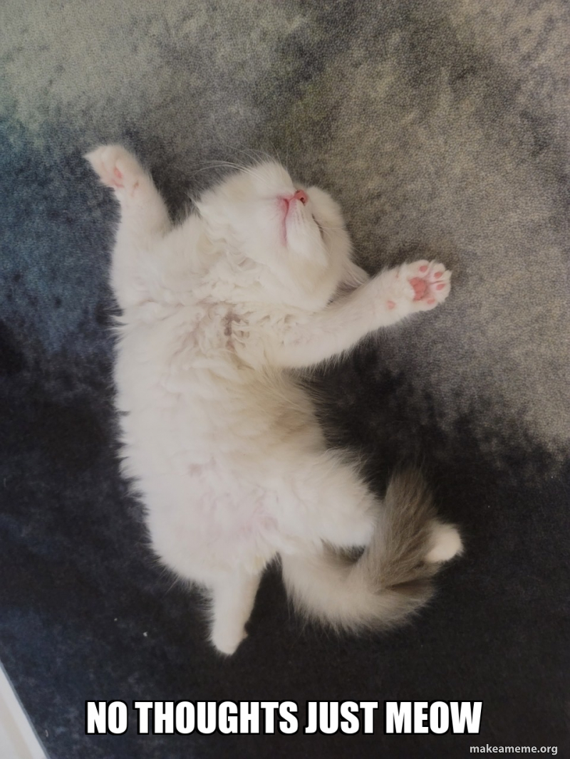 No thoughts Just meow Meme Generator
